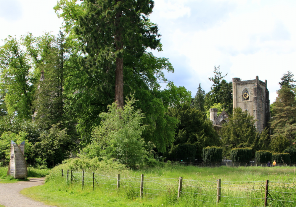 Our Perthshire Trees